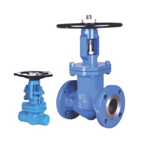 Bellow Sealed (Gate/ Globe ) Valves – Brans Valves India Pvt. Ltd.