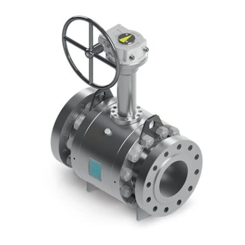 Cryogenic (Gate/ Globe Valves) – Brans Valves India Pvt. Ltd.