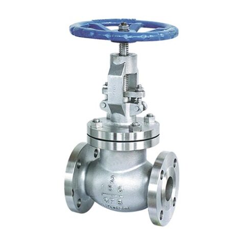 Globe Valve – Brans Valves India Pvt. Ltd.